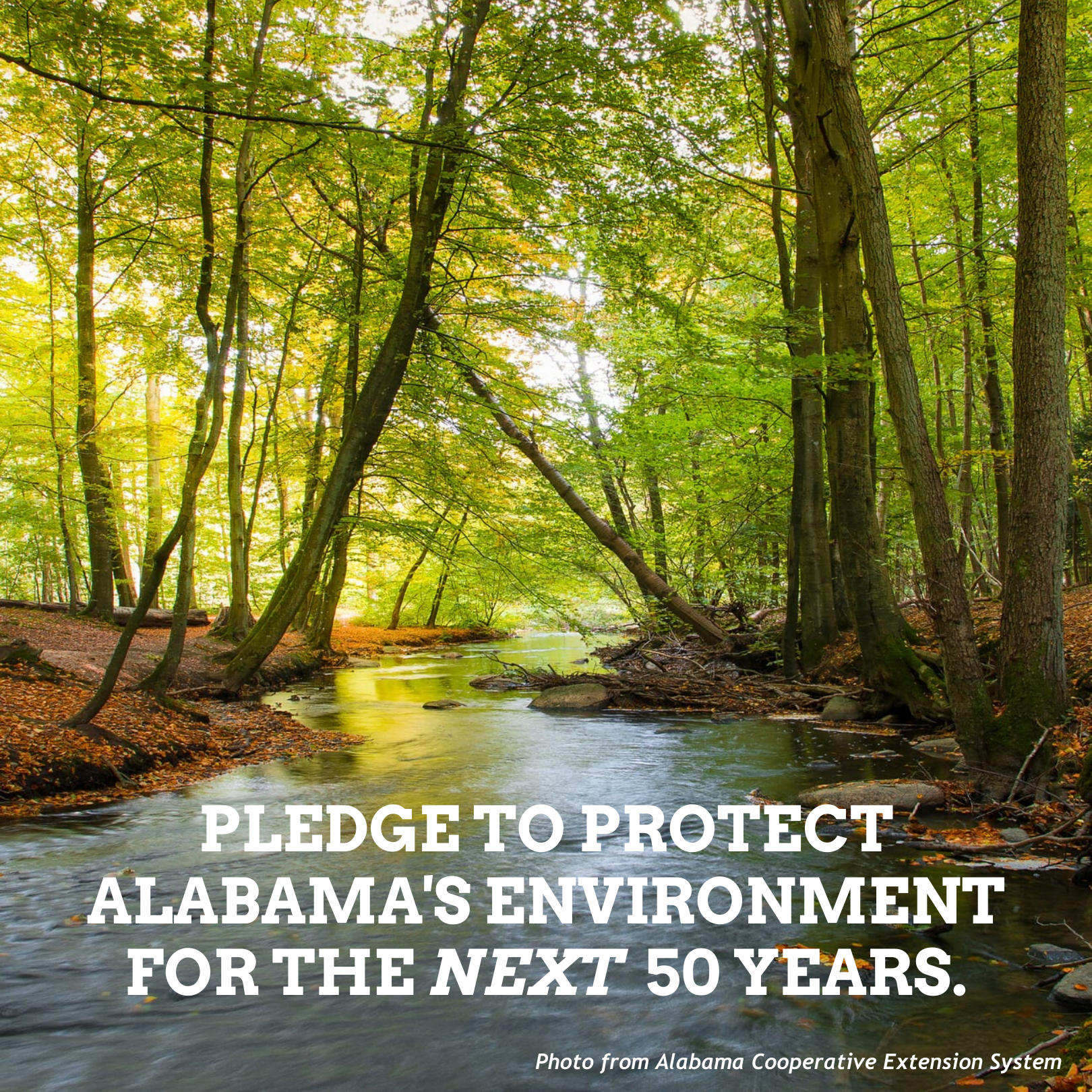 Pledge to Protect Alabama's Environment for the Next 50 Years!